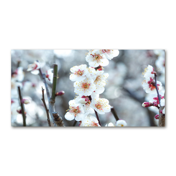 Ebern Designs Kirschblüten - Kunstdrucke auf Leinwand - Wrapped Canvas | Wayfair.de